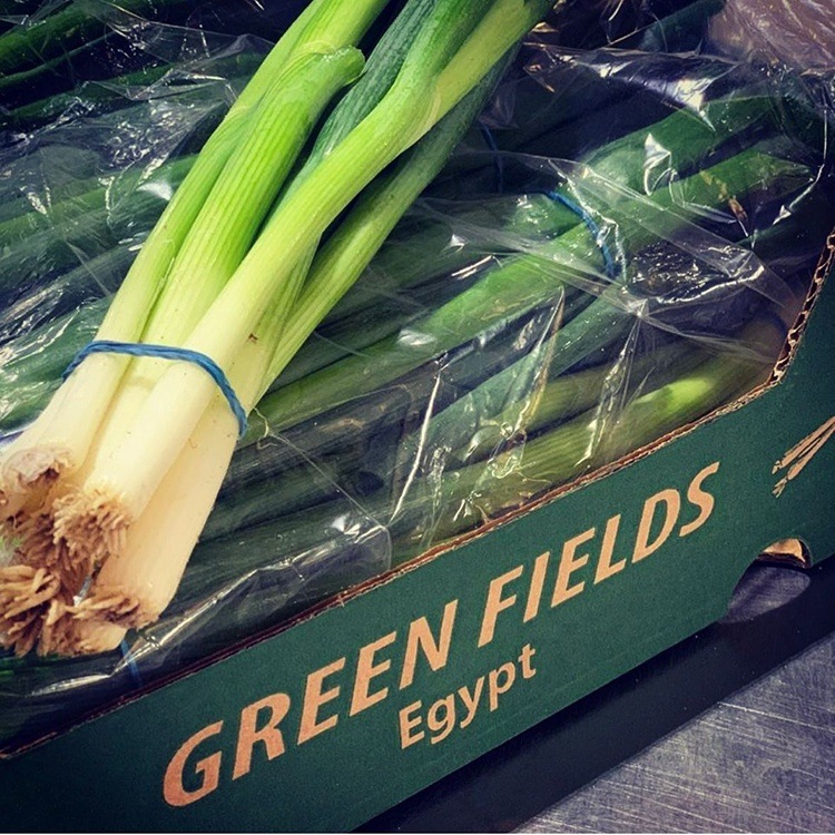 Green Fields; Egypt's leading Certified Fresh Produce Exporter - Home